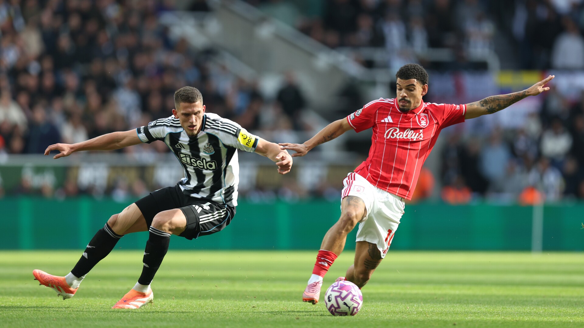 Newcastle 2-0 Nottingham Forest: Bruno, Woltemade fire Magpies to win