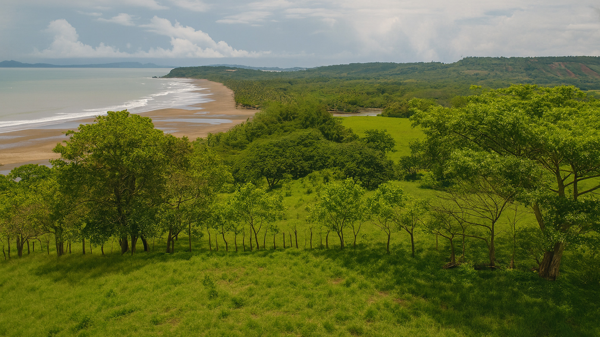 Costa Rica Landscapes – Lush Green Coastline 4K