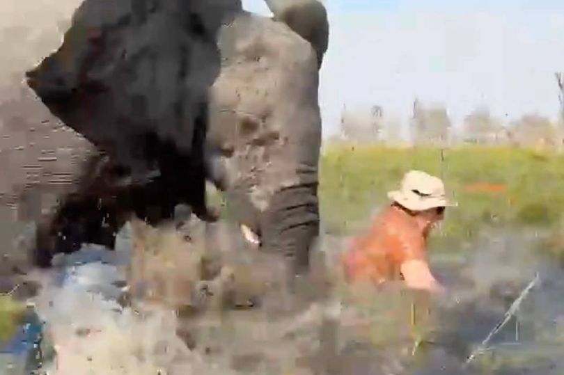 Tourist's miracle escape after elephant flips canoe and tries to gore ...