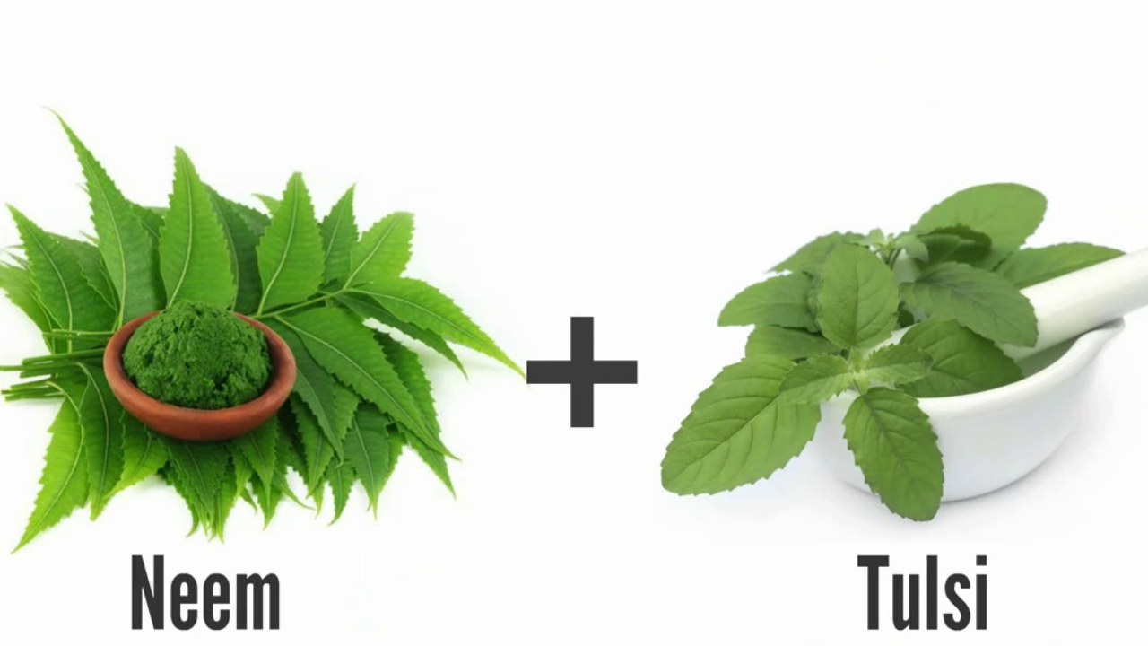 How to make your own tulsi & neem hair pack at home for faster hair growth