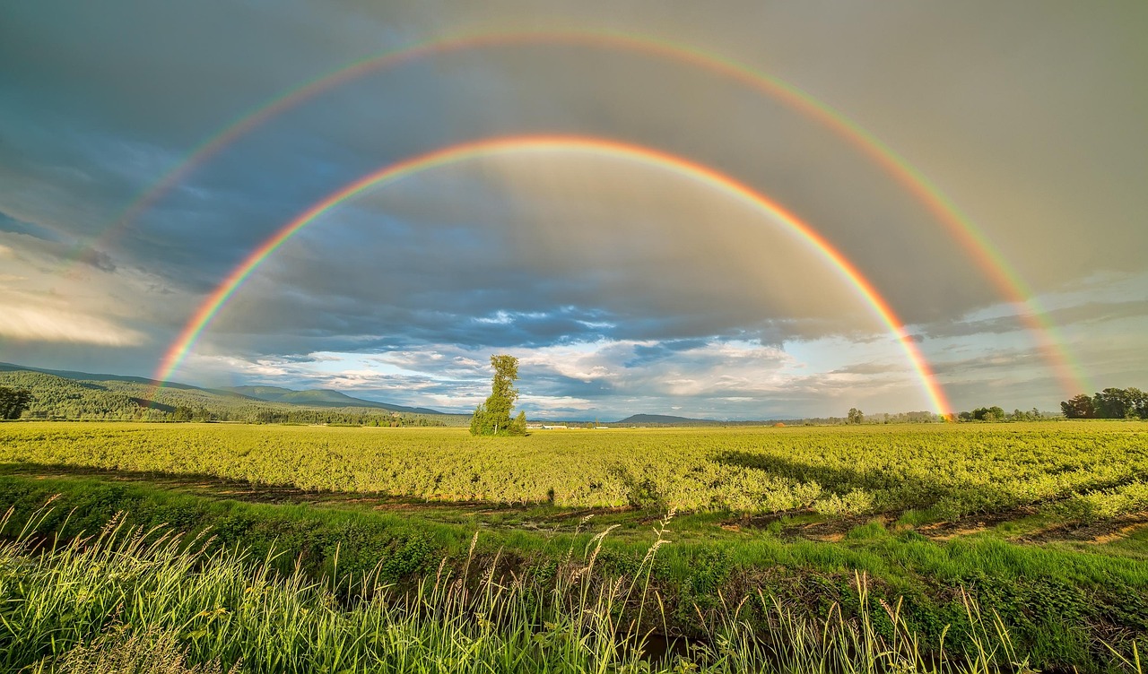 What Causes Rainbows And Why They're Always Curved