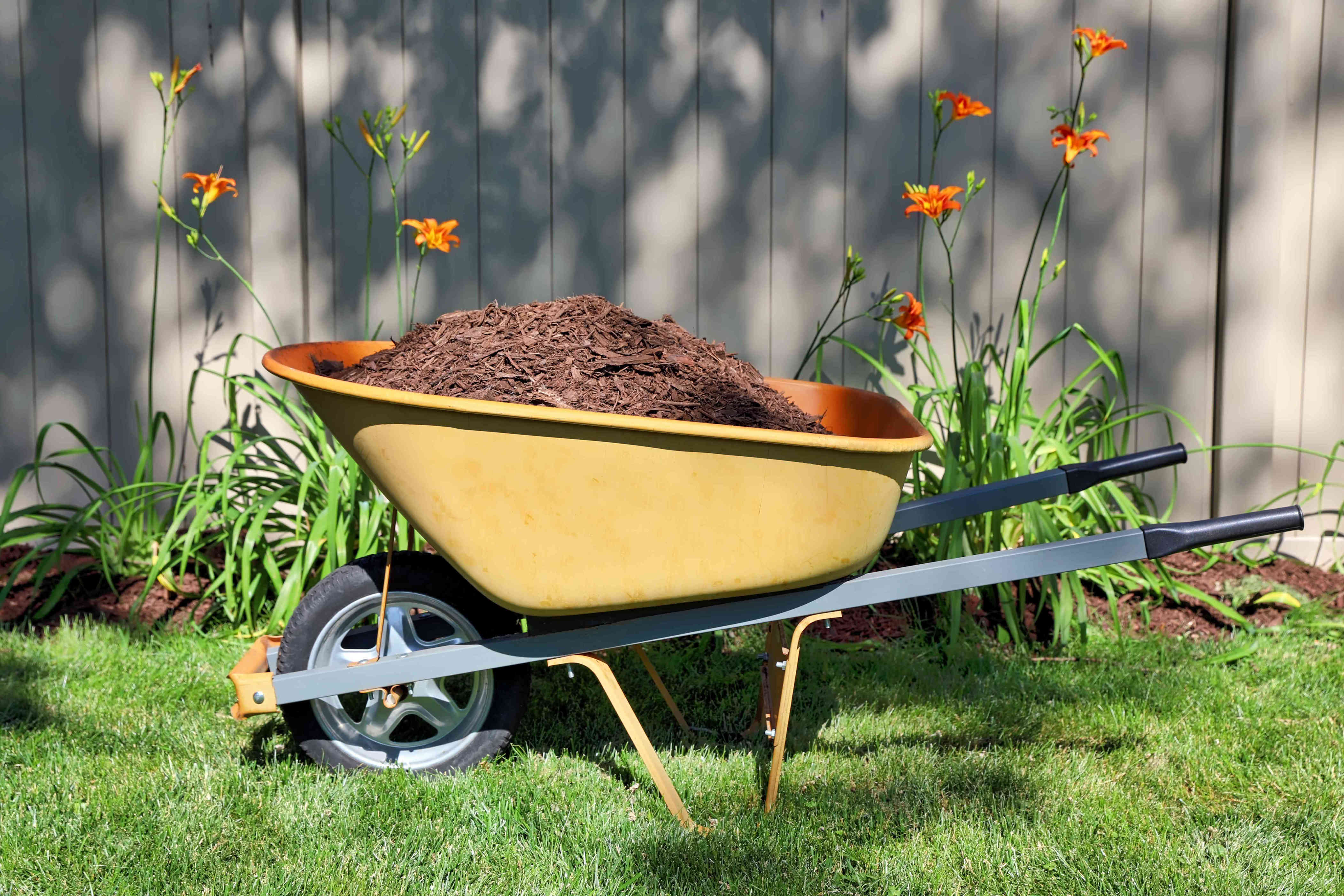The best time to mulch your garden to stop weeds before they start
