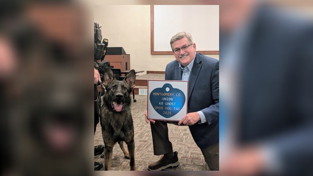 New police dog gets its first license