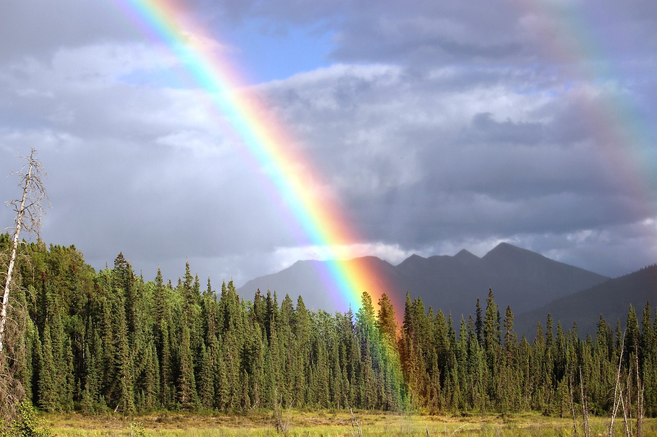 What Causes Rainbows And Why They're Always Curved