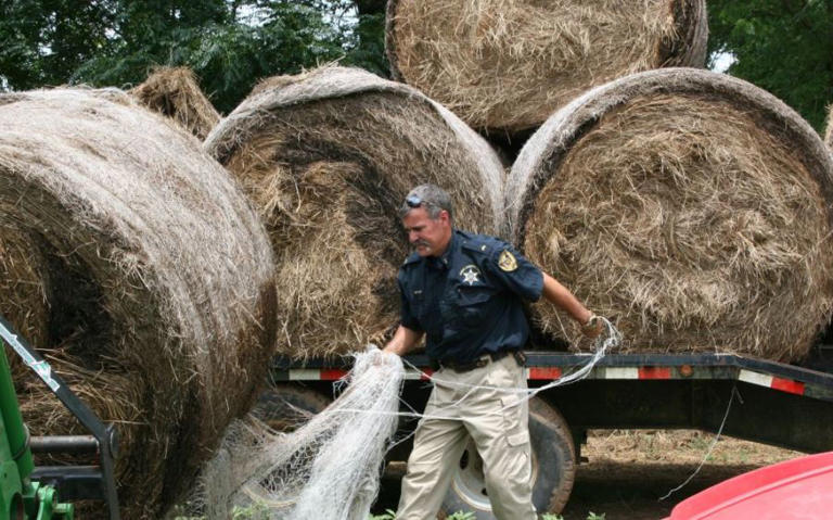 Texas Proposition 5: Tax exemption for animal feed inventory