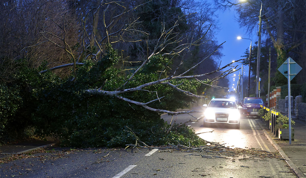 ‘This is intolerable’ – Storm Amy backlash as thousands still without power