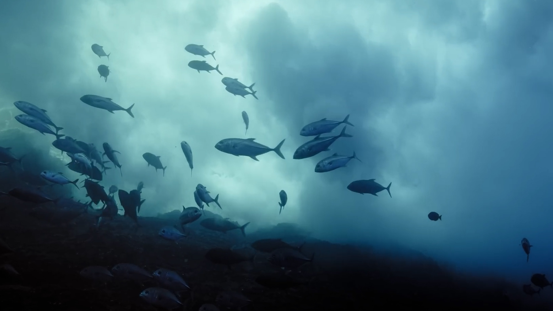 OCEAN PLANETS: Hidden Havens for Alien Life?