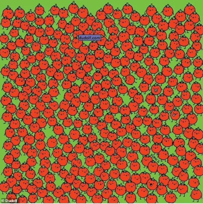 Test Your IQ Level! Can You Spot Three Apples Hidden Among Tomatoes In ...