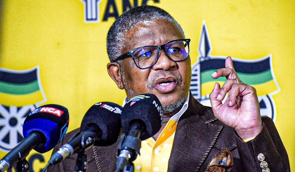 Fikile Mbalula: 'Nobody will remove the president without us'