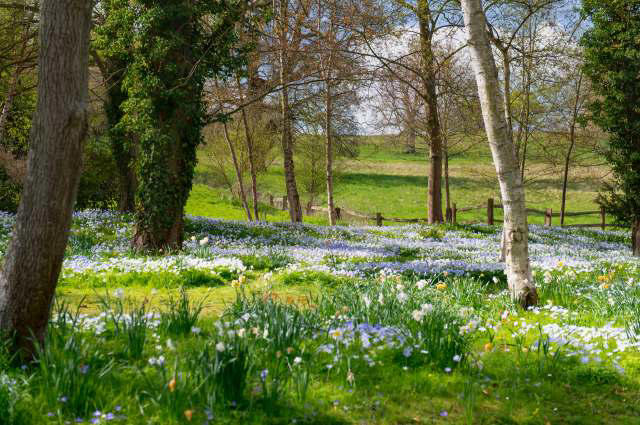 Residents band together to save cherished local green space: 'A victory ...