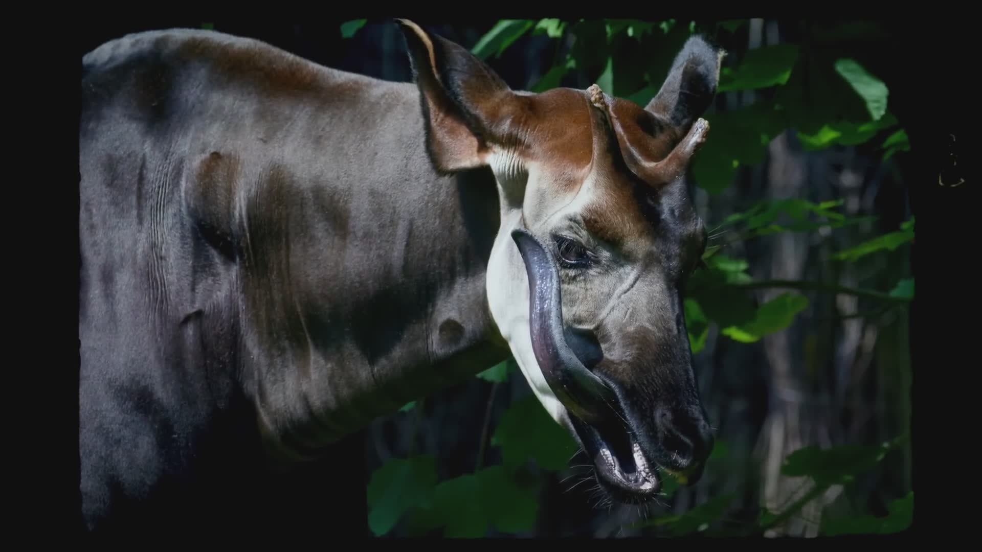 Strange scientific realities