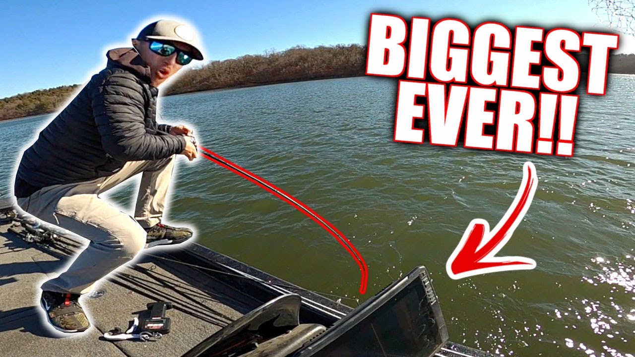 The biggest fish of his life pulled from the depths