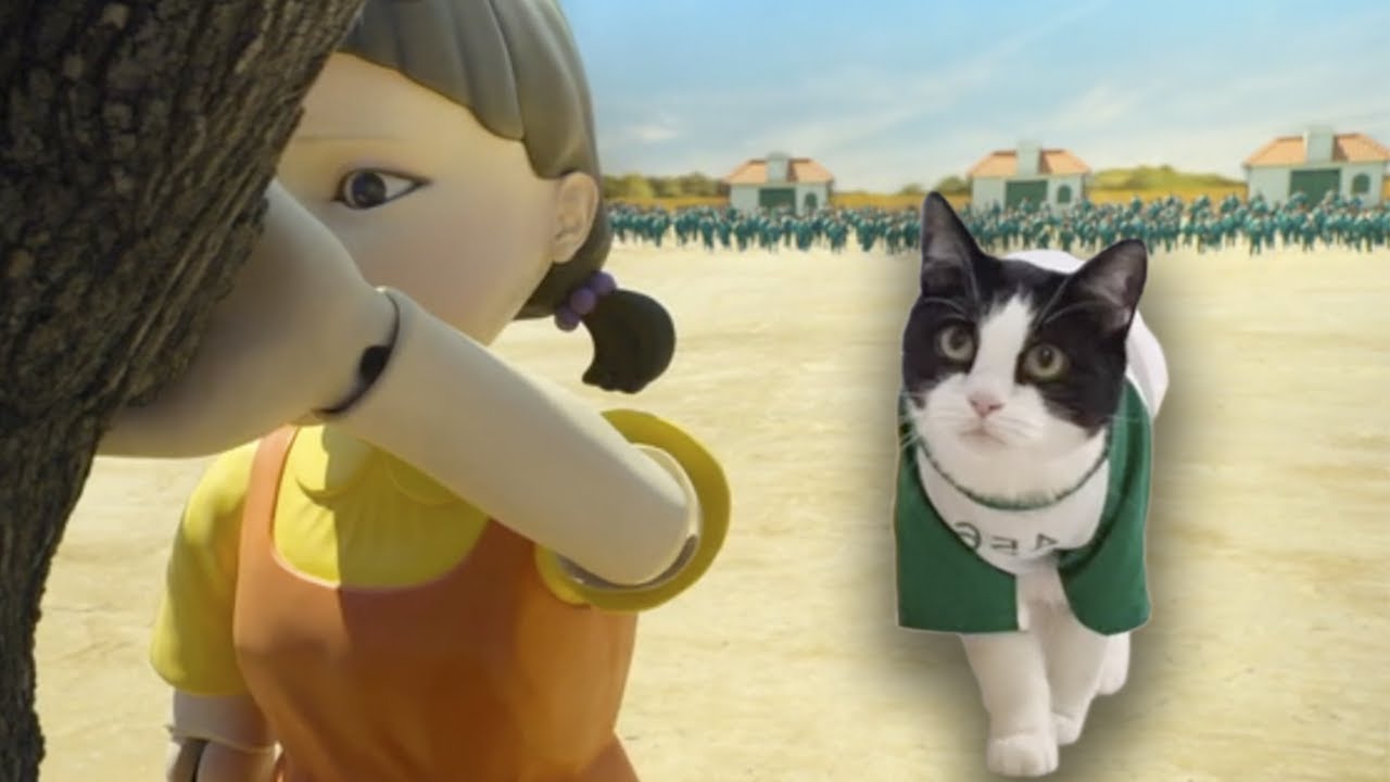 Cat Competes in Squid Game