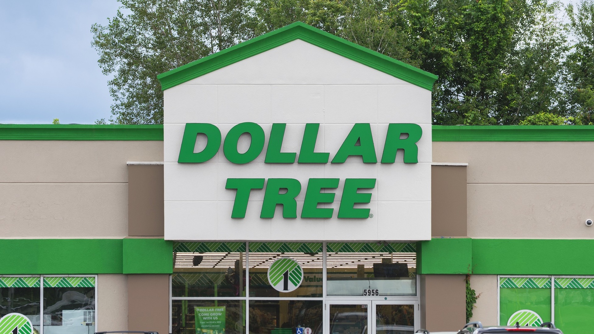 10 Top Dollar Tree Buys That Can Save Middle-Class Retirees Hundreds