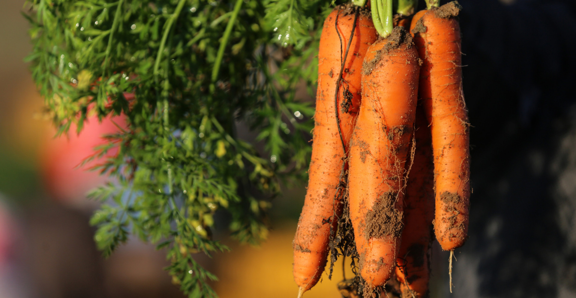 30 nutrient-dense foods to add to your diet