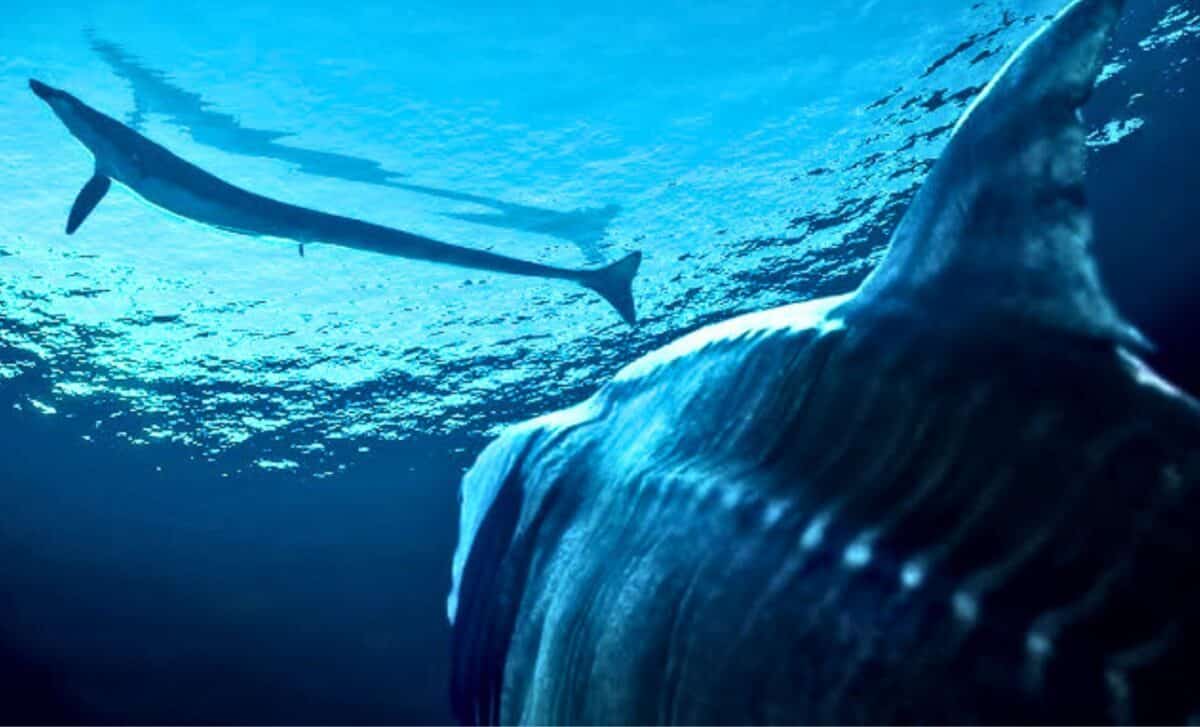 Scientists Uncover a New Jurassic Monster With Freakish Overbite and ...