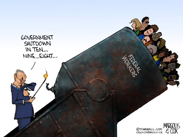 Political Cartoons From Margolis & Cox