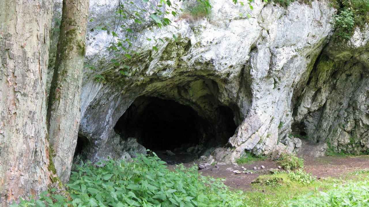 Archaeologists shocked by rare blue pigment in cave