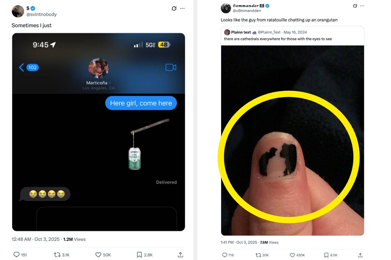 16 Funny Tweets That Went Viral This Weekend