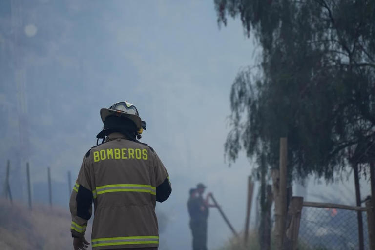 Cancelan alerta roja por incendio forestal en Litueche: fuego destruyó ...