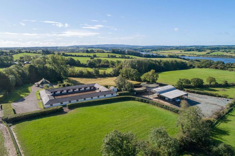 Legendary Irish trainer looking just under €1 million for famous 84 ...