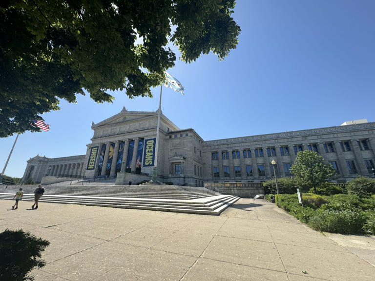 The Perfect Chicago One Day Itinerary (2025)