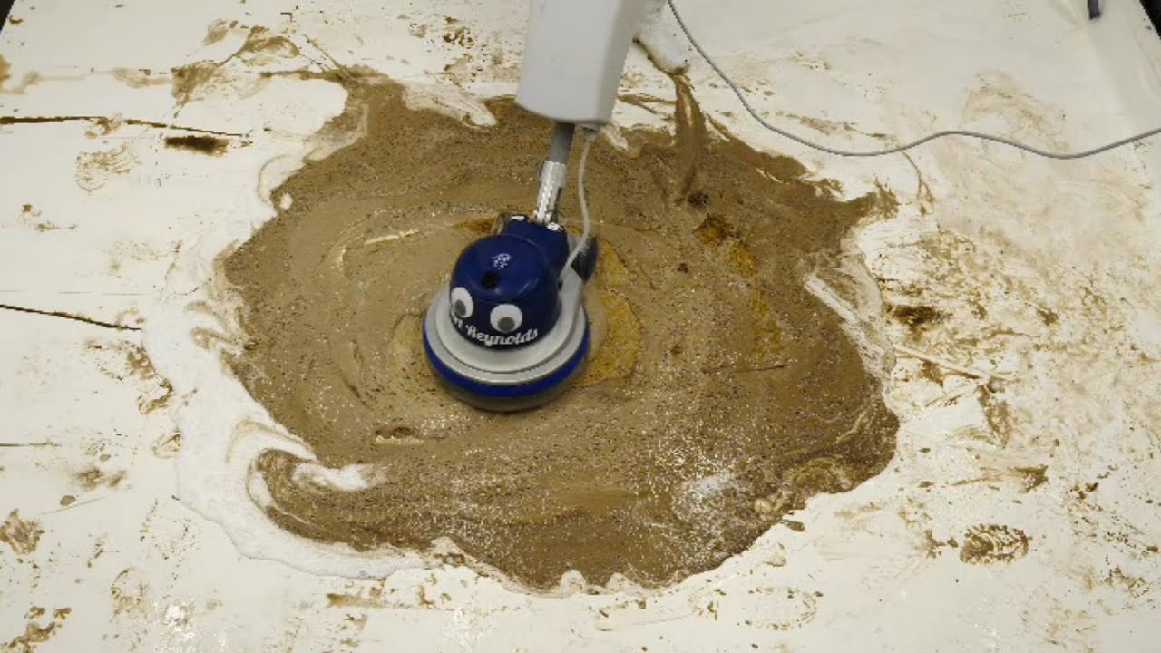 Storm Damaged Rug! So Much Mud. Is It Saveable? Satisfying ASMR Carpet ...