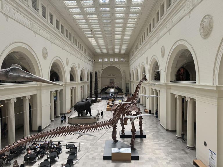 The Perfect Chicago One Day Itinerary (2025)