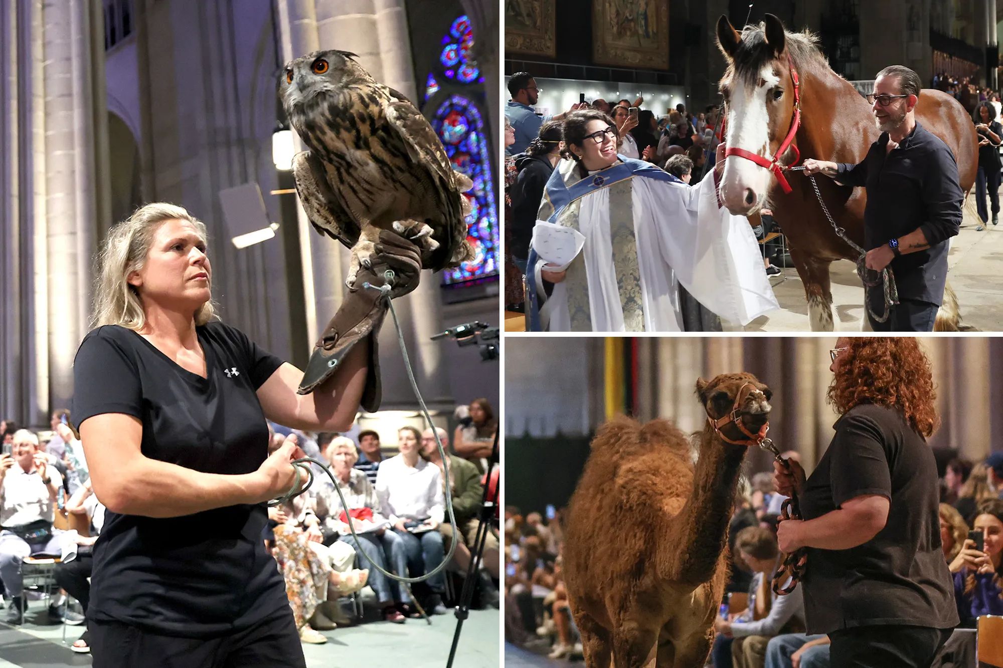 Pets flood NYC church for annual ‘blessing’ event honoring spate of ...