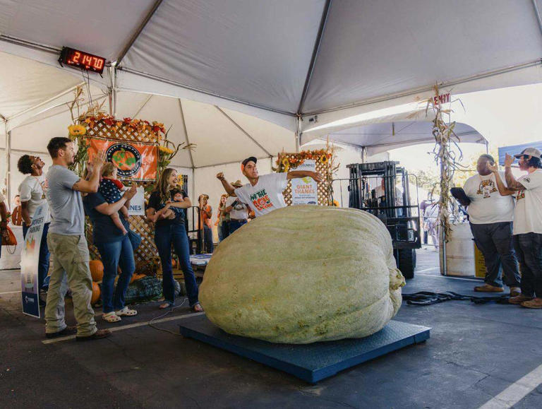 Pumpkins galore in Elk Grove: Regatta draws hundreds, 1-ton pumpkin ...