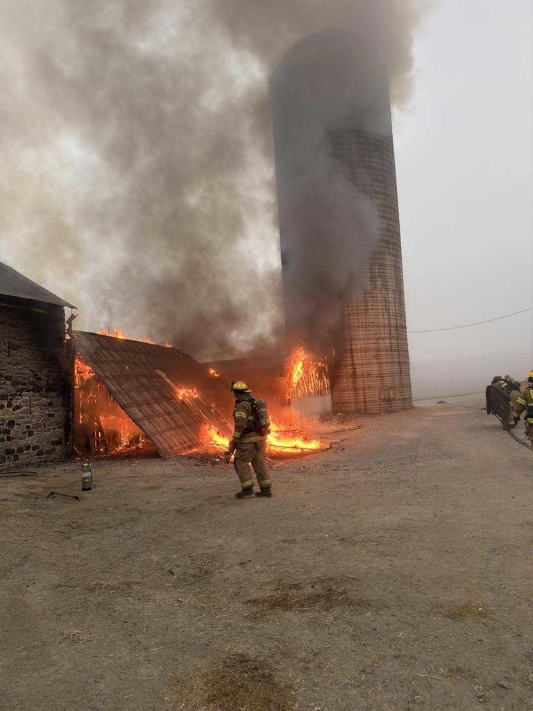 100 cows reported safe after large barn fire