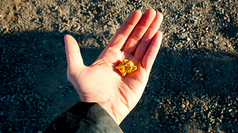 Is It Legal To Take Home Gems Or Gold That You Find In Public Parks? It ...