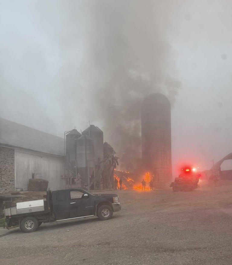 100 cows reported safe after large barn fire