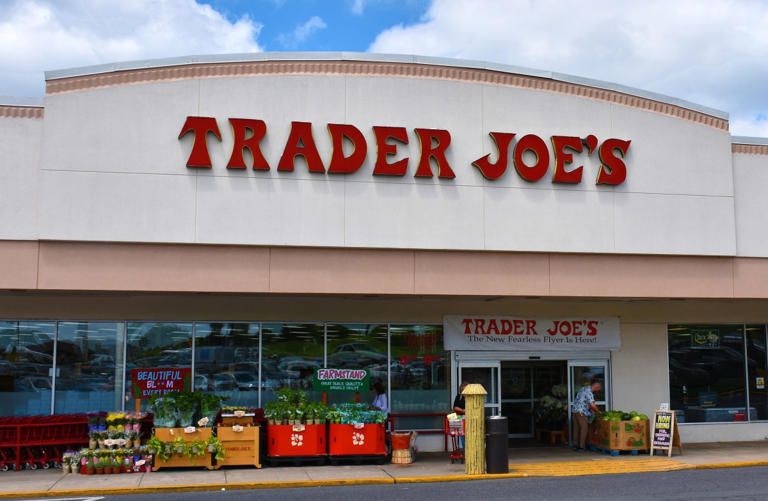 Trader Joe’s New Dog Advent Calendar Will Keep Your Pup Off of the ...