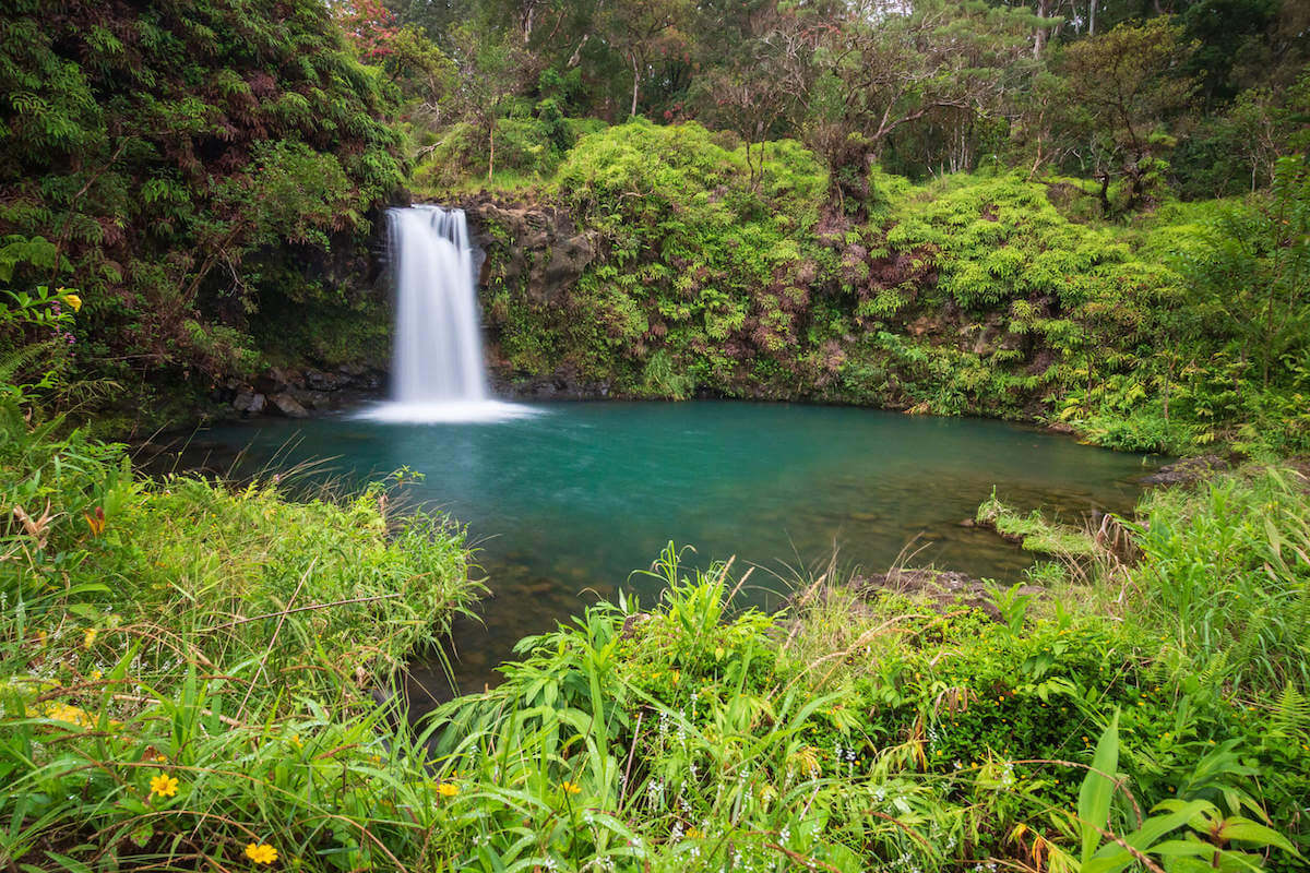12 Best Waterfalls in Maui That Are Absolutely Stunning