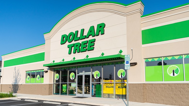 Dollar Tree Kitchen Items So Affordable, You Won't Believe The Savings