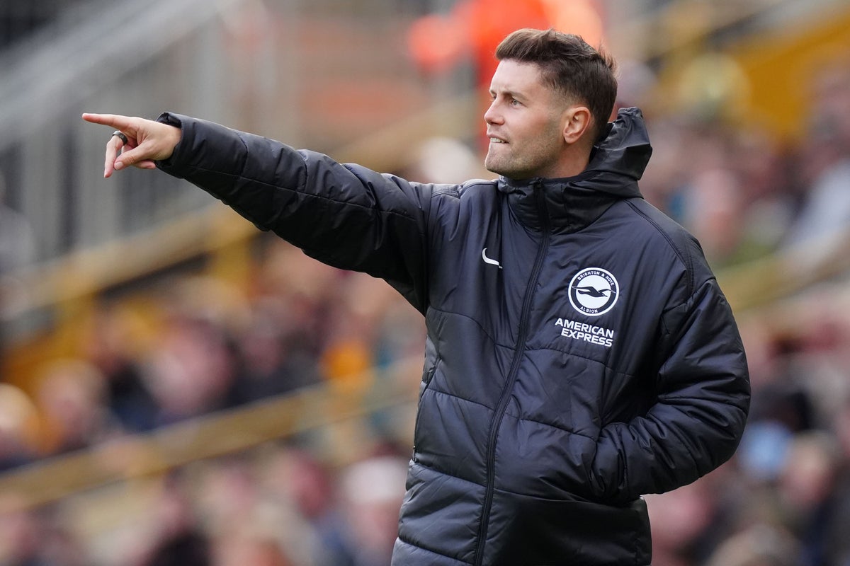 Fabian Hurzeler feels Brighton deserved more than a late equaliser at ...