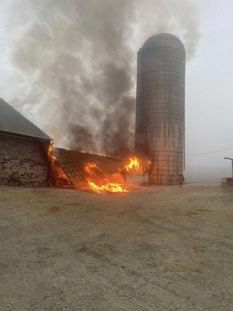 100 cows reported safe after large barn fire