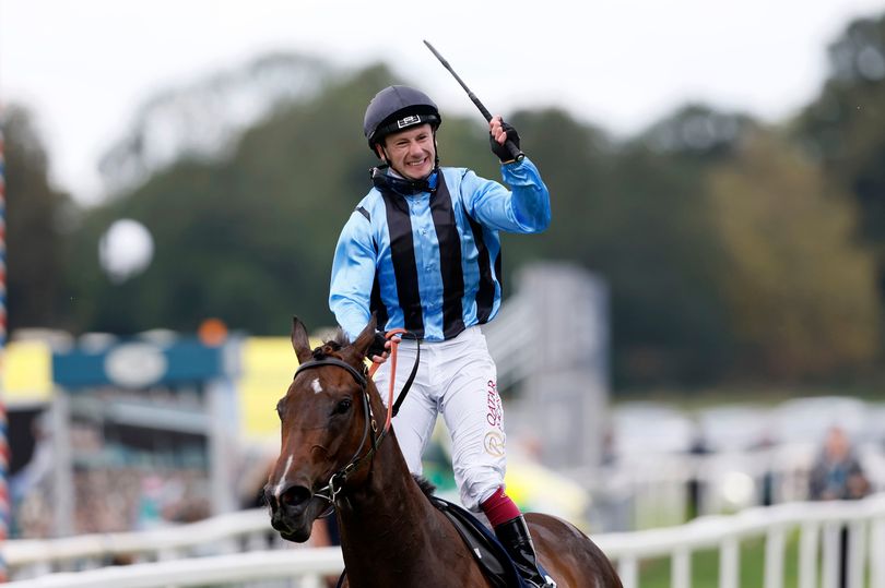 Uber driver's mad dash saves the day for wonder horse Asfoora