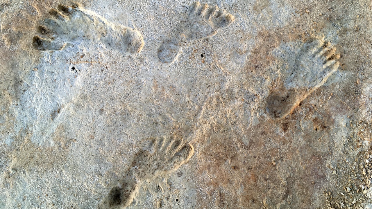 Ancient footprints appear where humans shouldn’t be