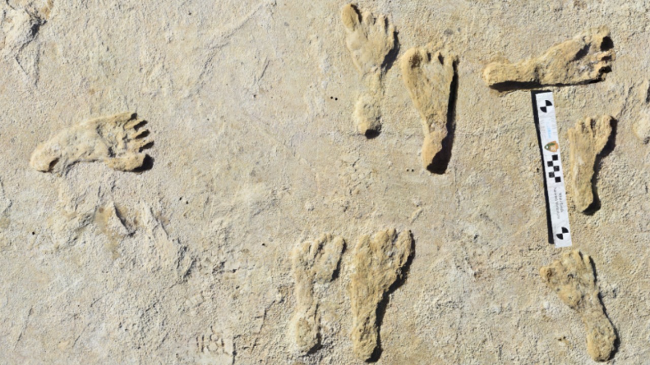 Ancient footprints appear where humans shouldn’t be