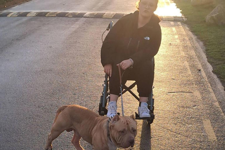 Family asked to leave Welsh caravan park because of their dog's breed