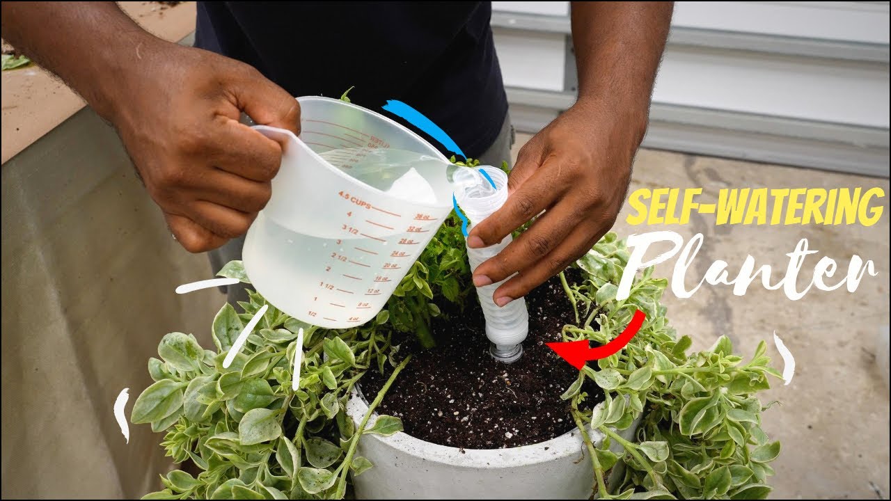DIY: Simple self-watering planter