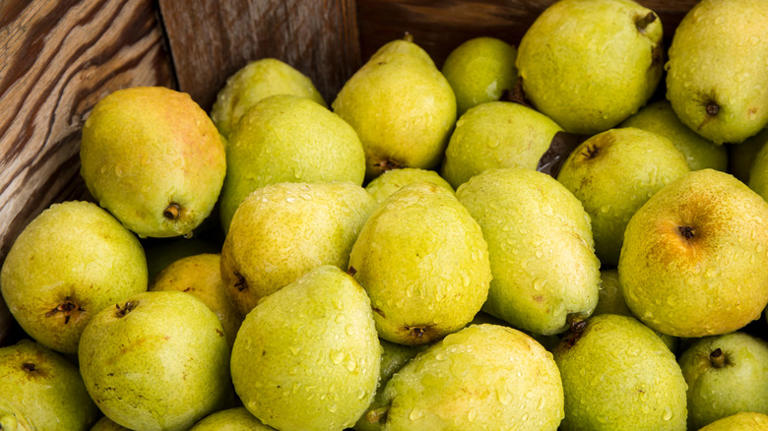 10 Unique Types Of Pears And How To Use Them