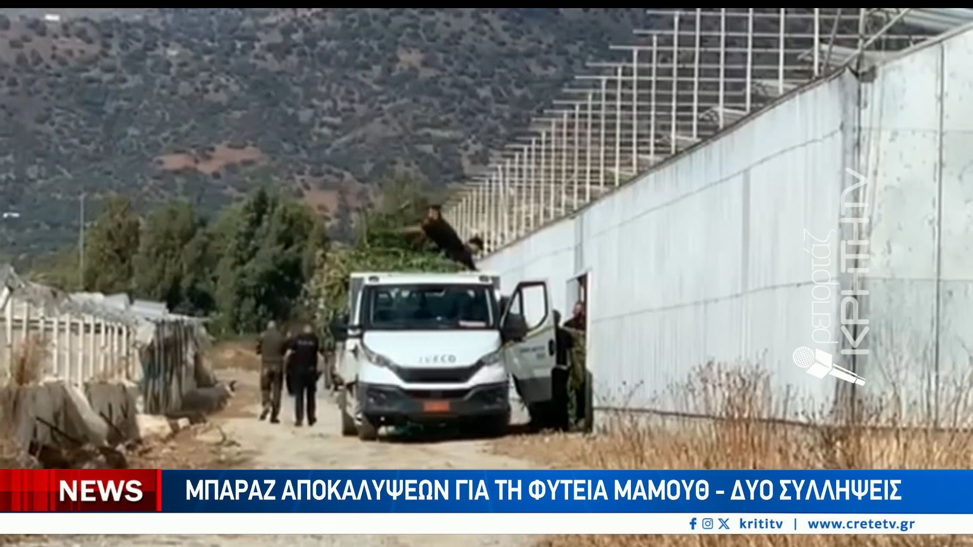 Μπαράζ αποκαλύψεων για τη φυτεία μαμούθ σε θερμοκήπιο στη Μεσαρά - Δύο ...