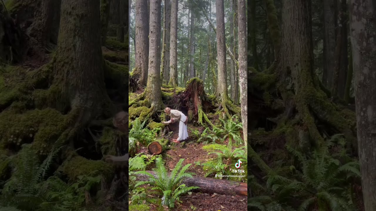 Wandering through an enchanted forest