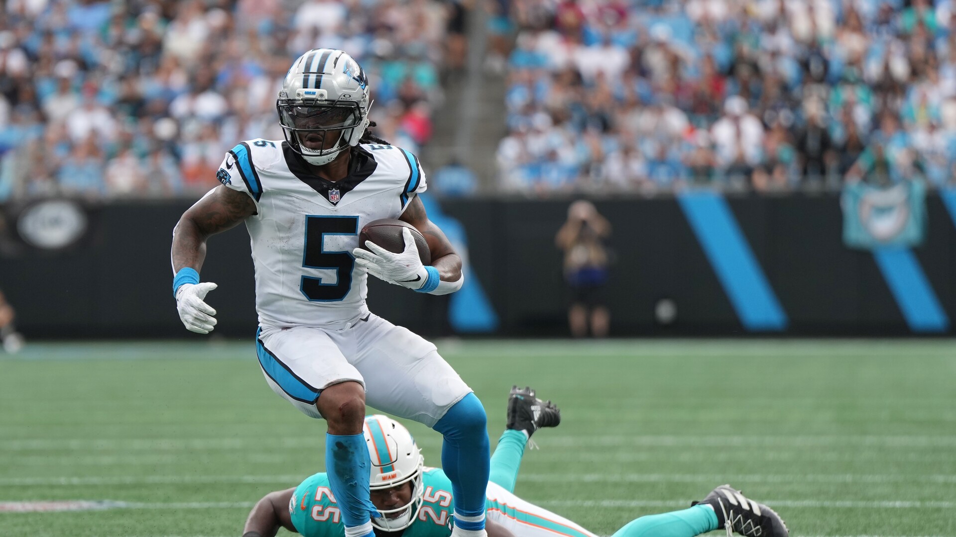 Panthers score twice, cut Dolphins lead to 17-10 at halftime