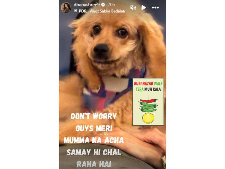 Did Dhanashree Verma Clap Back At Samay Raina's 'Sugar Daddy' & '2 ...