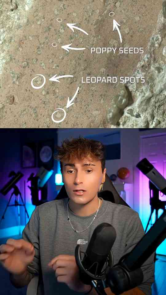 Is There Life on Mars? The Truth Revealed