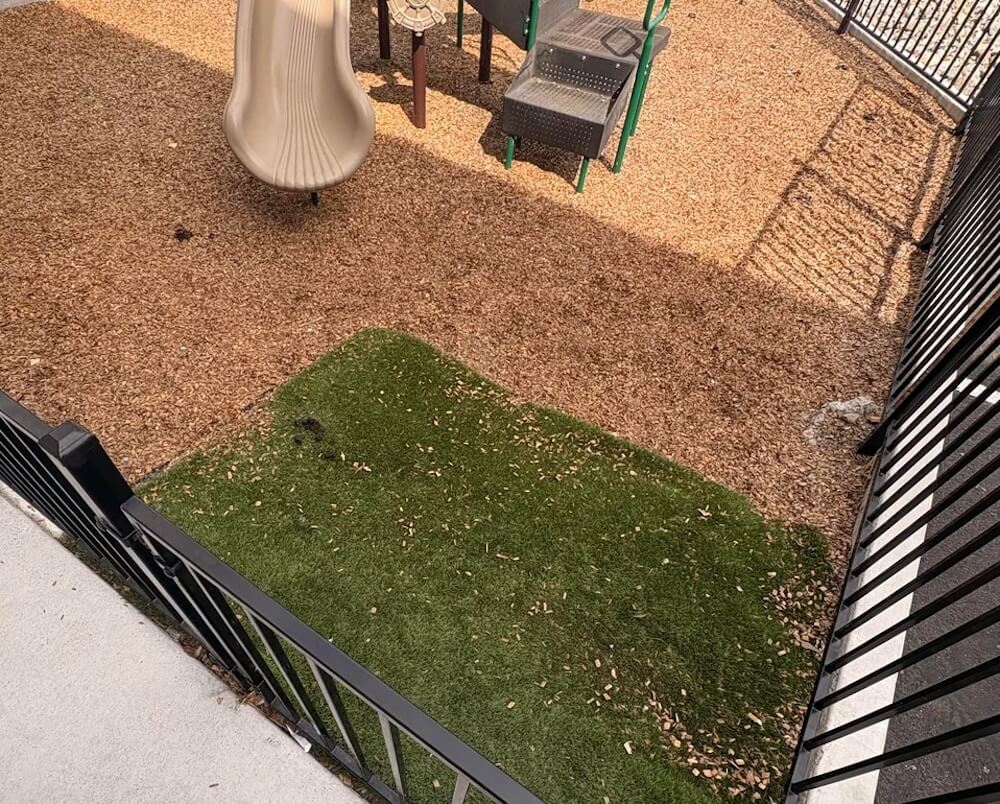 Tenant distraught as thoughtless neighbors create disgusting living ...